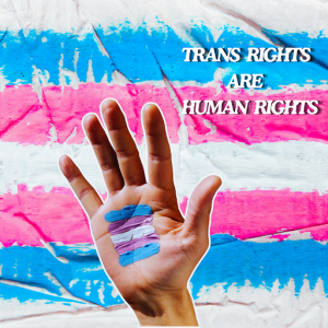 10 Must-Know Sexual Health Tips for Trans Men - Pratisandhi